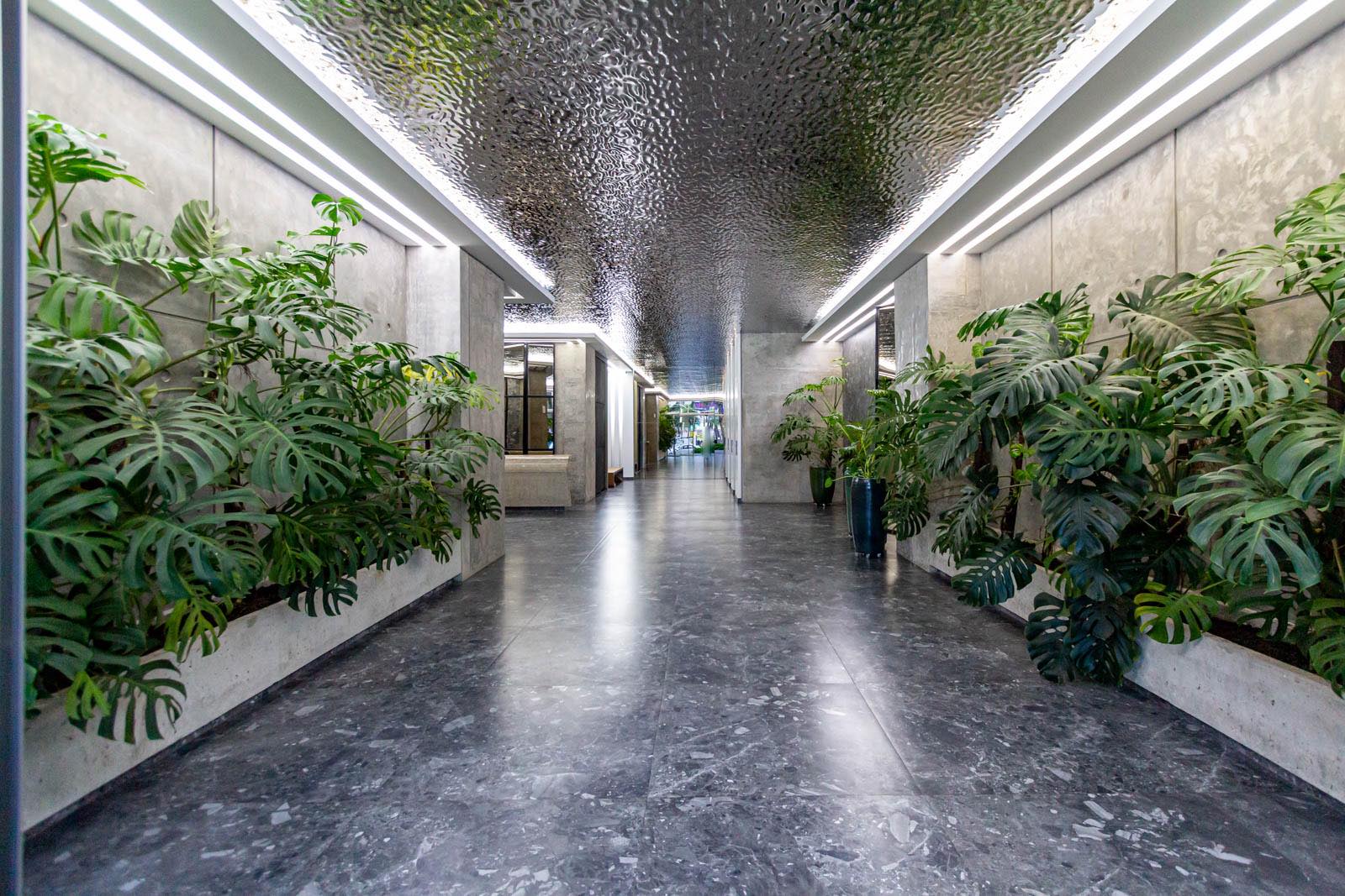 Curupau Isuto - 2 Dorms | UltraCasas.com $us 123,000 [UC-1018237]